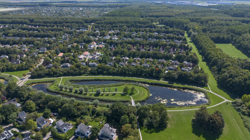 Brochure hout- en boswallen | Belangenvereniging Almere Hout